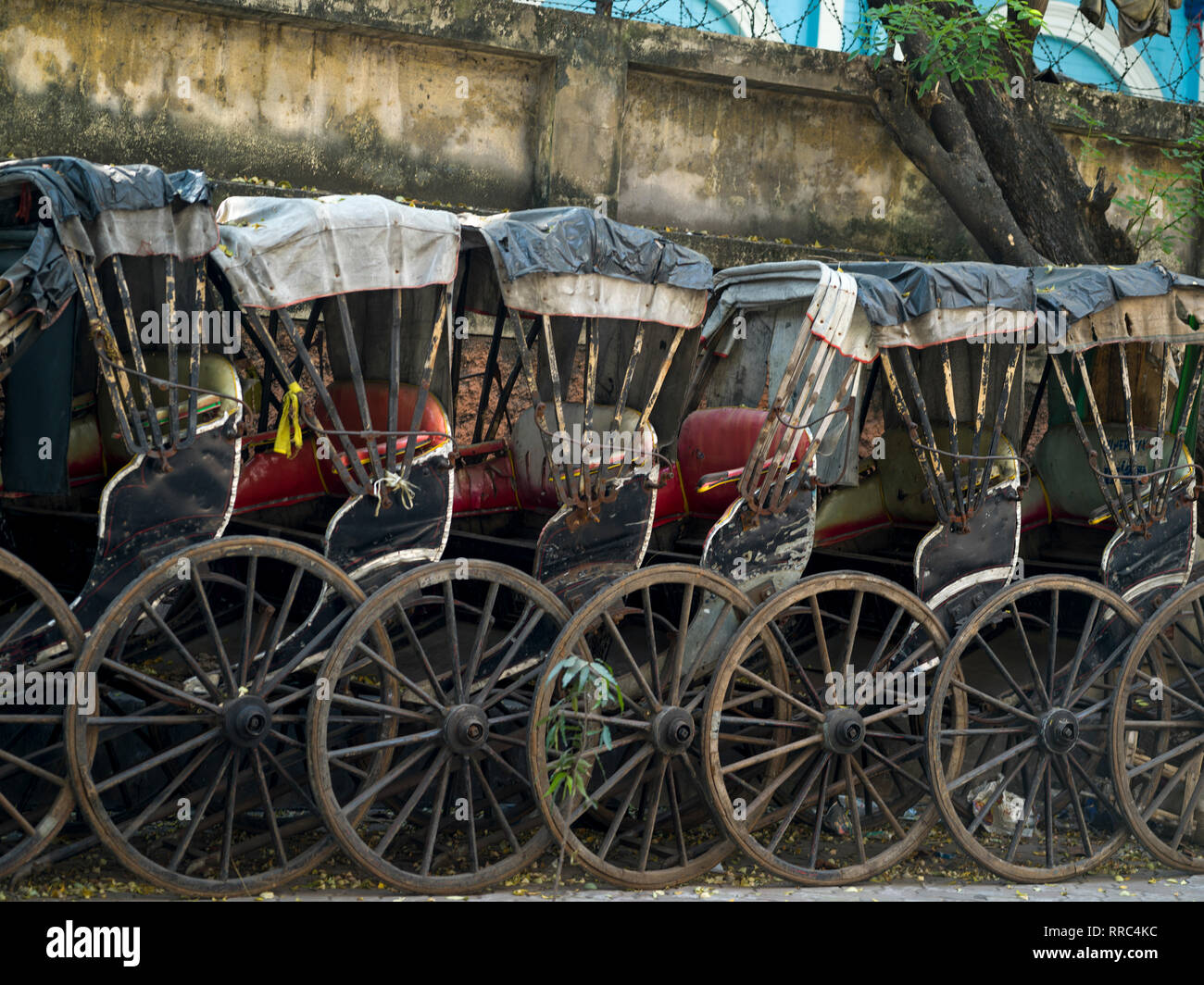 Hand-pulled rickshaws parked in a row, Kolkata, West Bengal, India ...