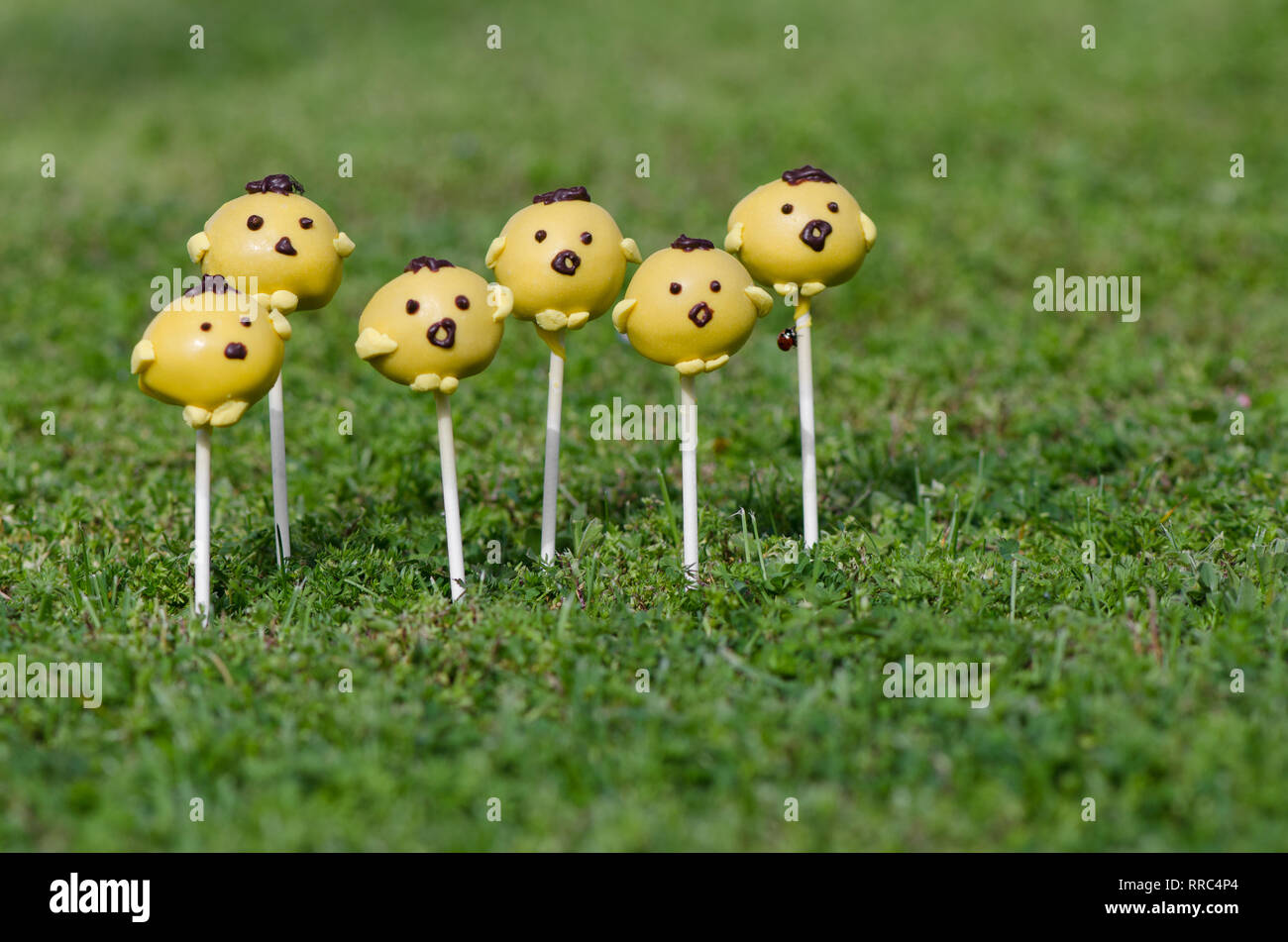 Cute chick cake pops on grass: delicious funny chicken cake pops for ...