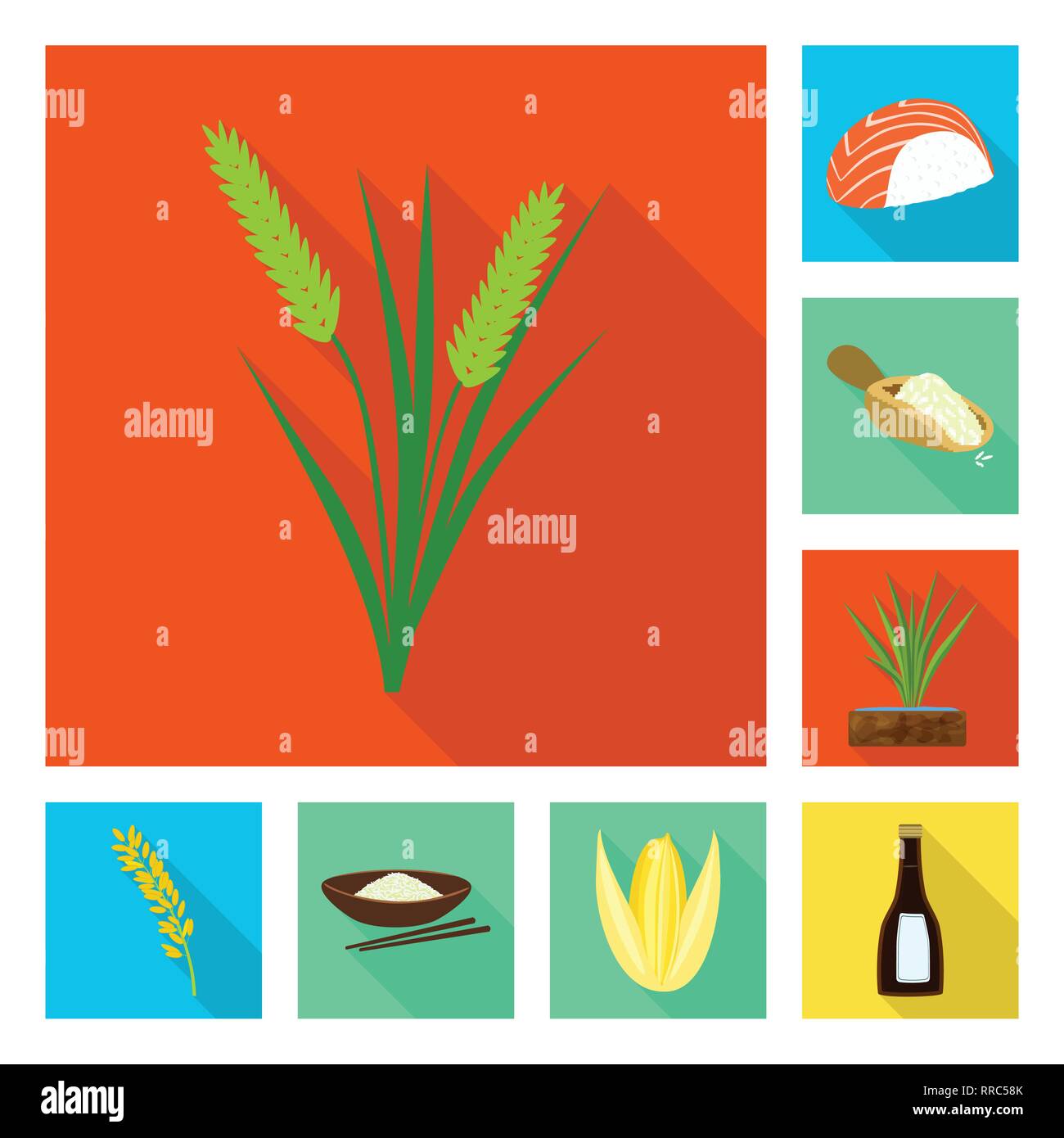 grain,rice,scoop,panicle,spikelet,plate,sauce,boiled,soy,field,cuisine ...