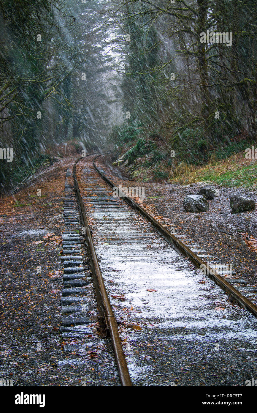 Rail Tracks through a Snowy Forest Stock Photo - Alamy
