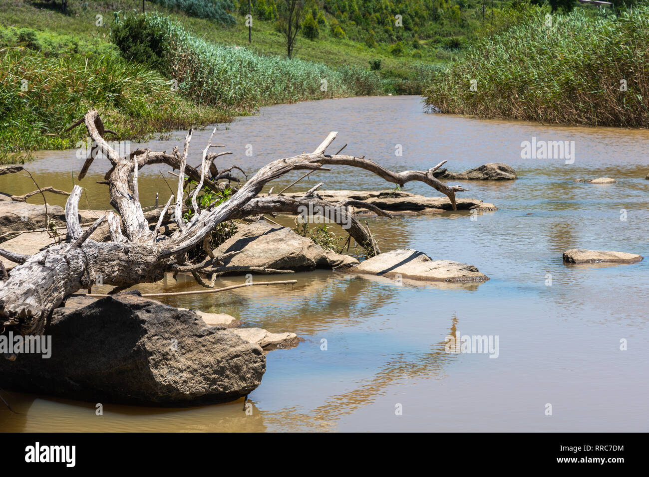 Karkloof river hi-res stock photography and images - Alamy