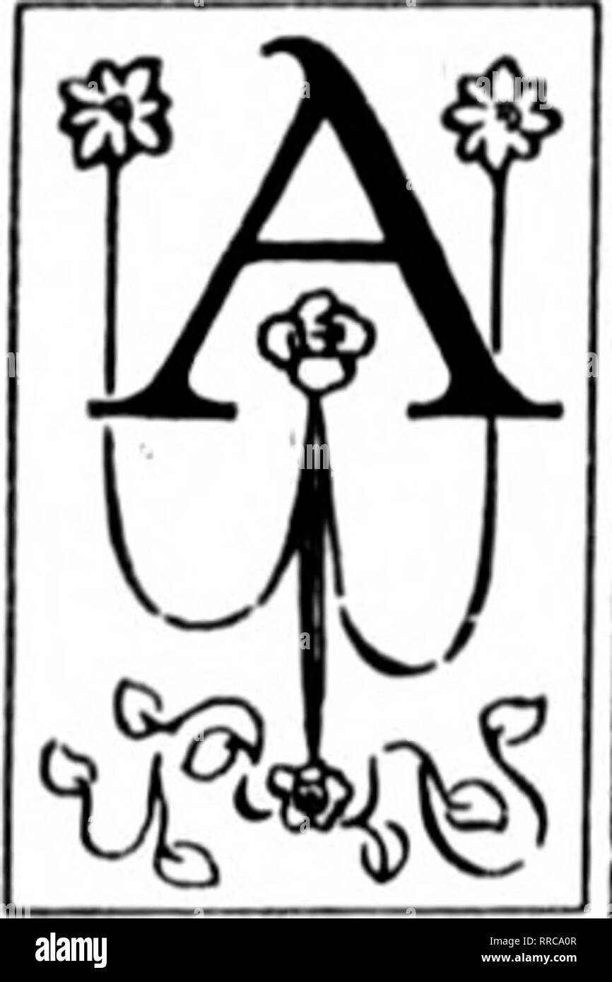 Tennesseeans hi-res stock photography and images - Alamy