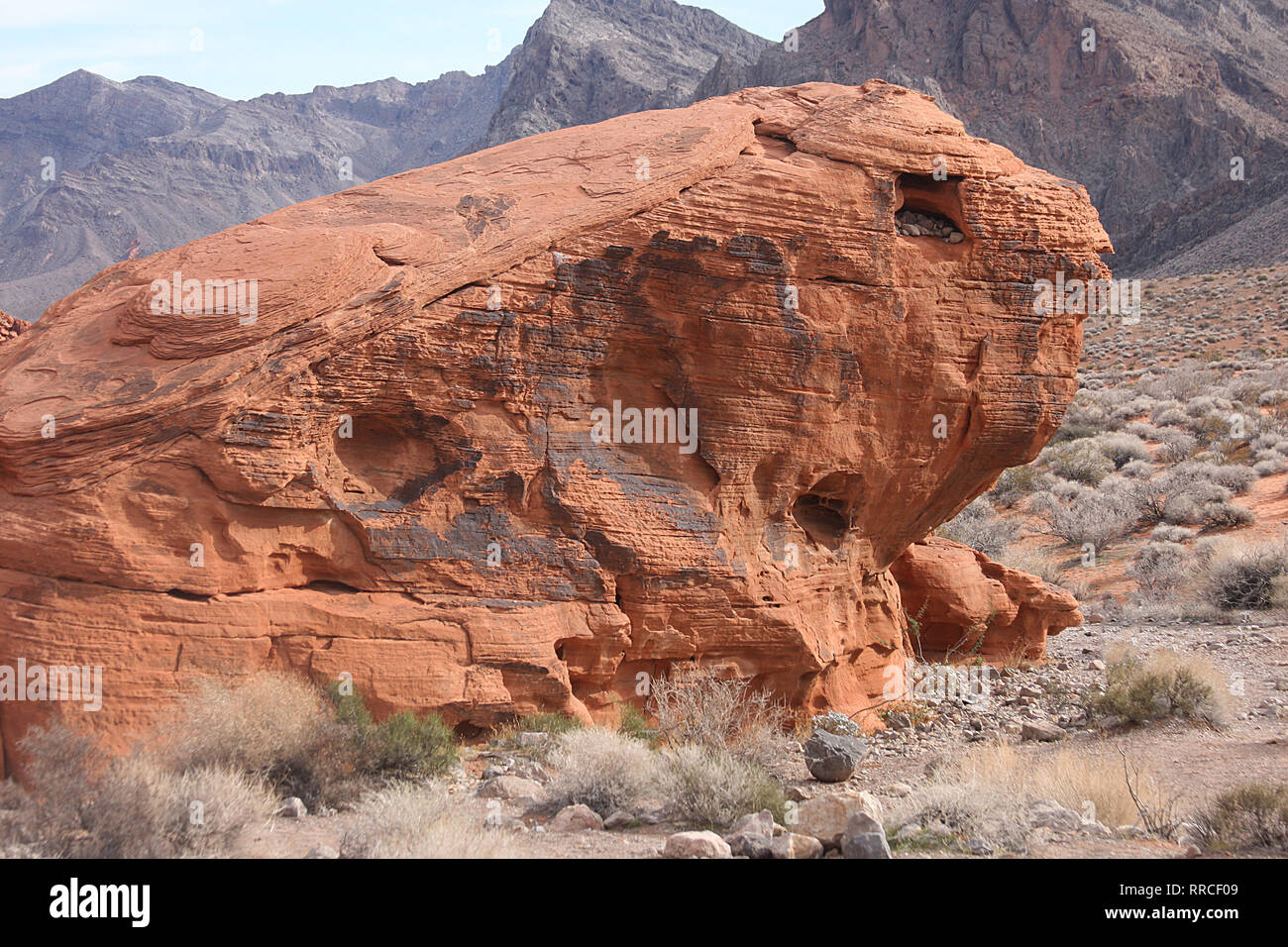 Rock formations in Valley of Fire State Park, Nevada, USA. Eroded red ...
