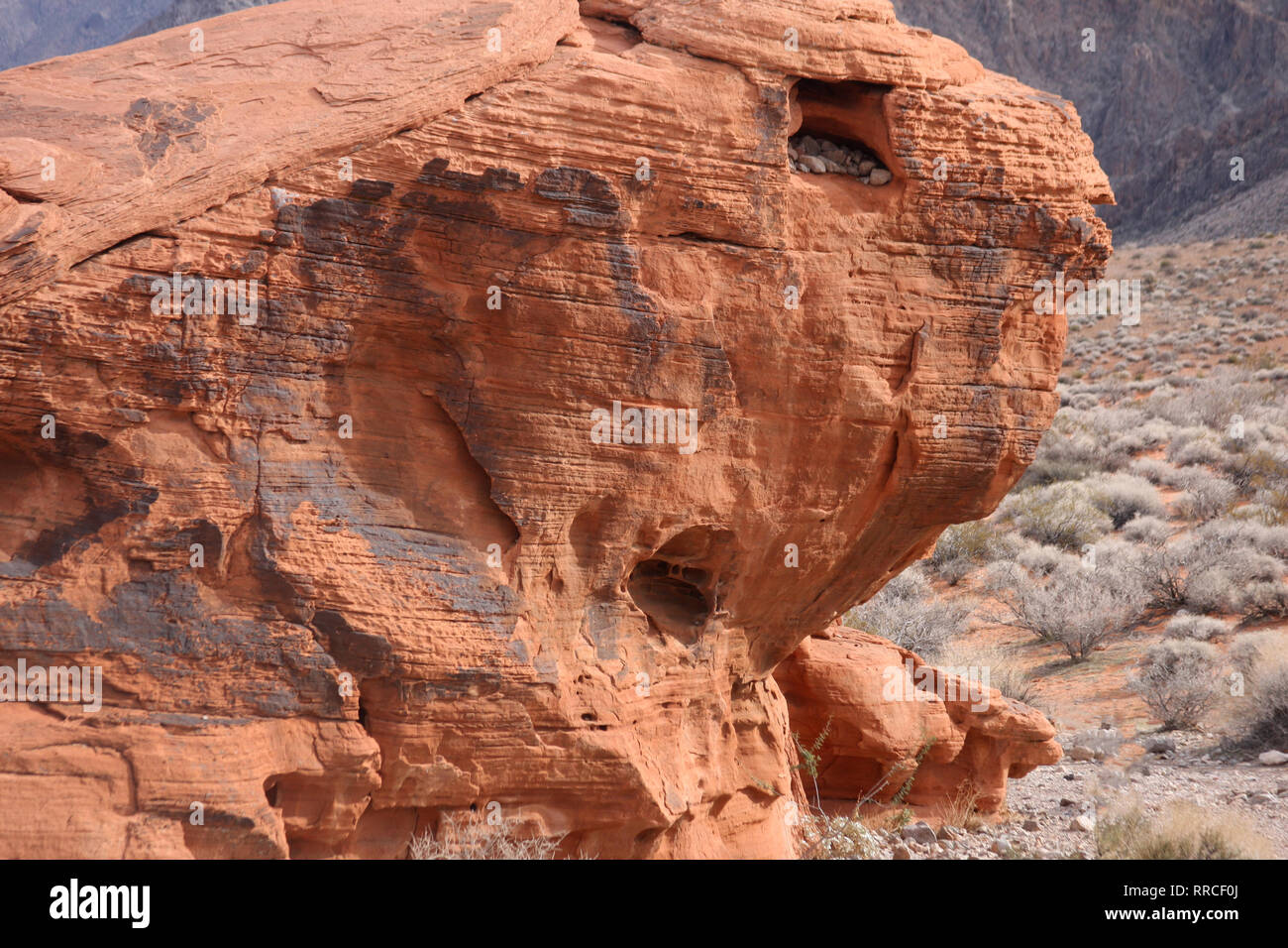 Rock formations in Valley of Fire State Park, Nevada, USA. Eroded red ...