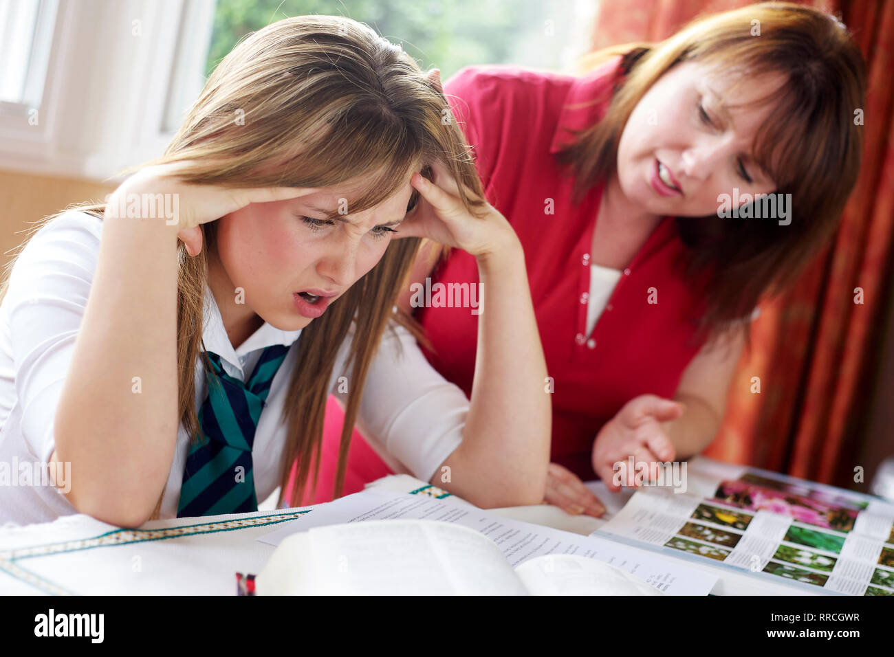 parent helping daughter girl with homework and coursework Stock Photo ...