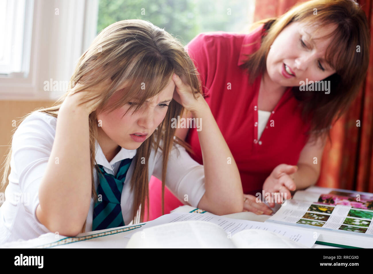 parent helping daughter girl with homework and coursework Stock Photo ...