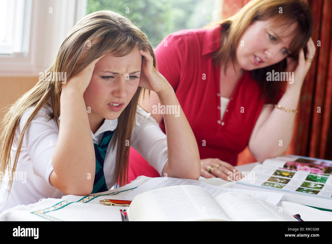 parent helping daughter girl with homework and coursework Stock Photo ...