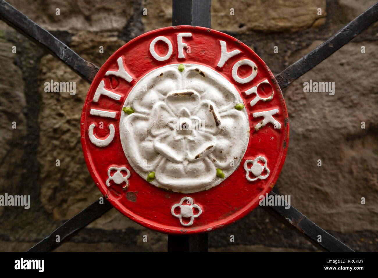 White rose of yorkshire hi-res stock photography and images - Alamy