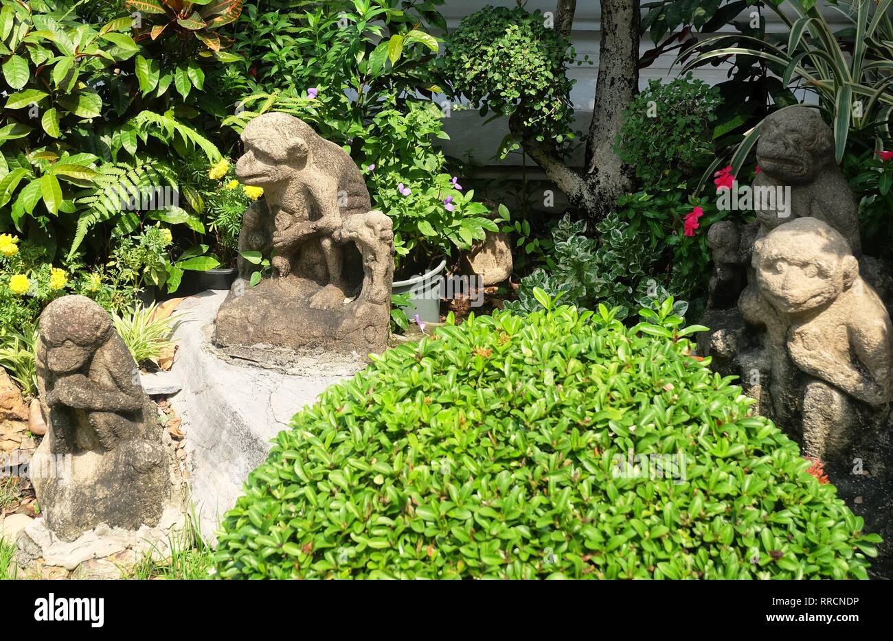 Group of Monkey Sculptures Decoration in A Beautiful Garden at Wat Phra ...