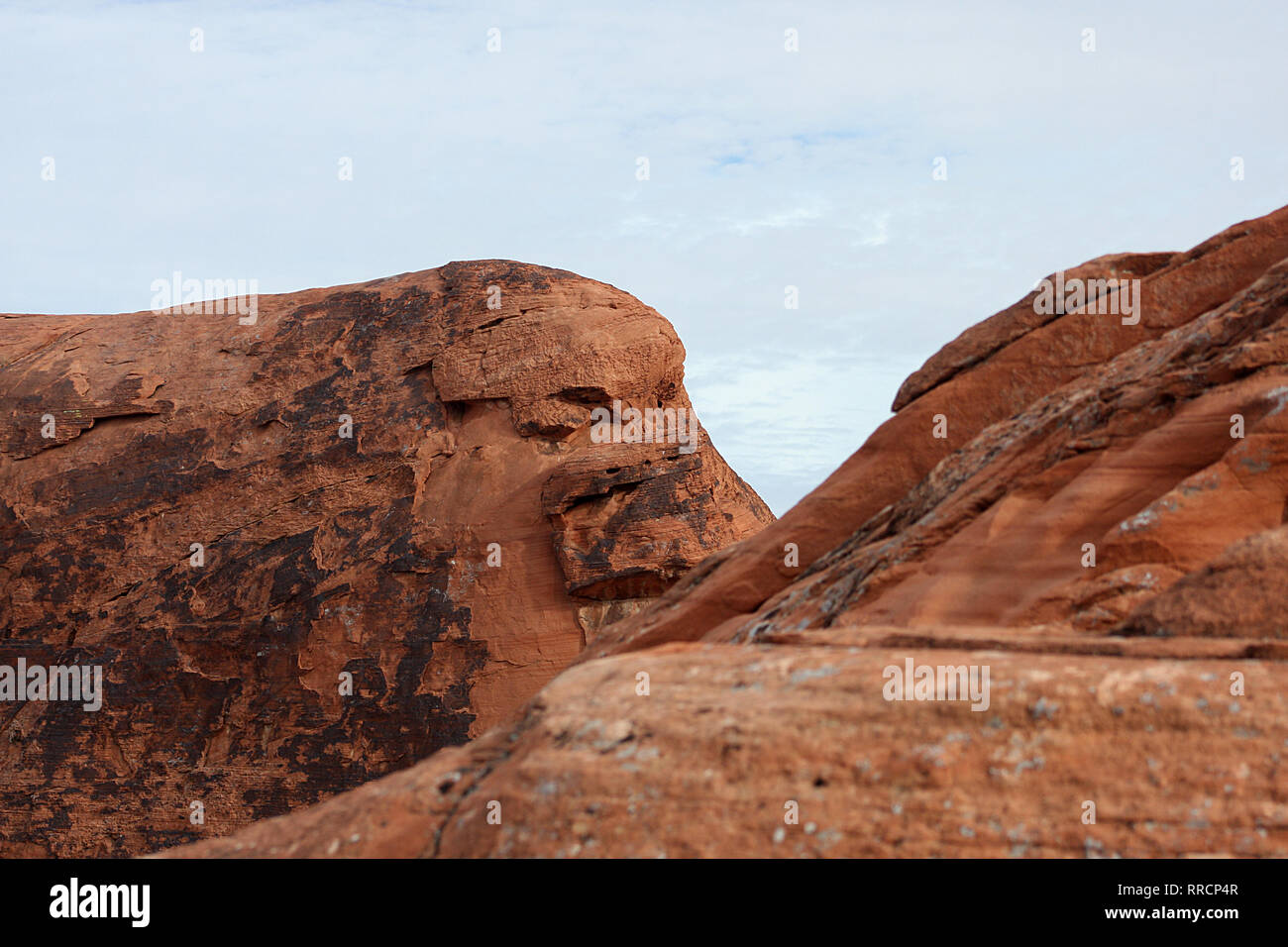 Eroded sandstone rock formations at Valley of Fire State Park, Nevada ...