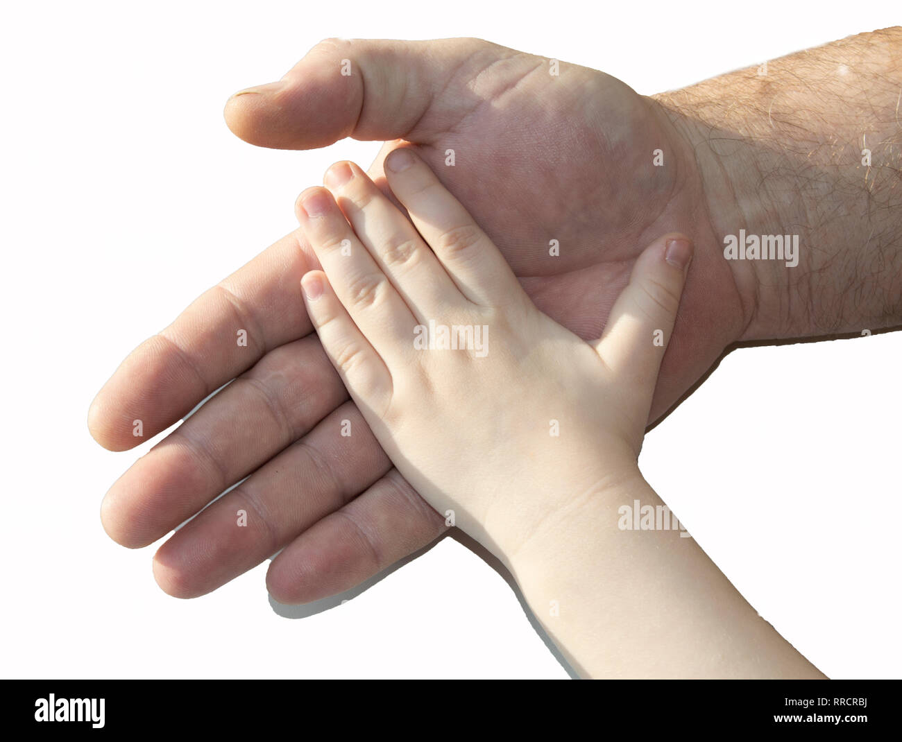 The hand of an adult MAN holding the hand of a child in the palm of his ...