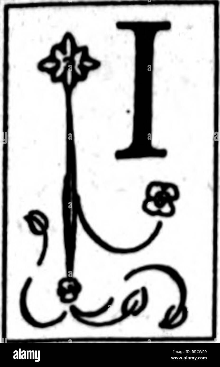 130 feet Black and White Stock Photos & Images - Alamy