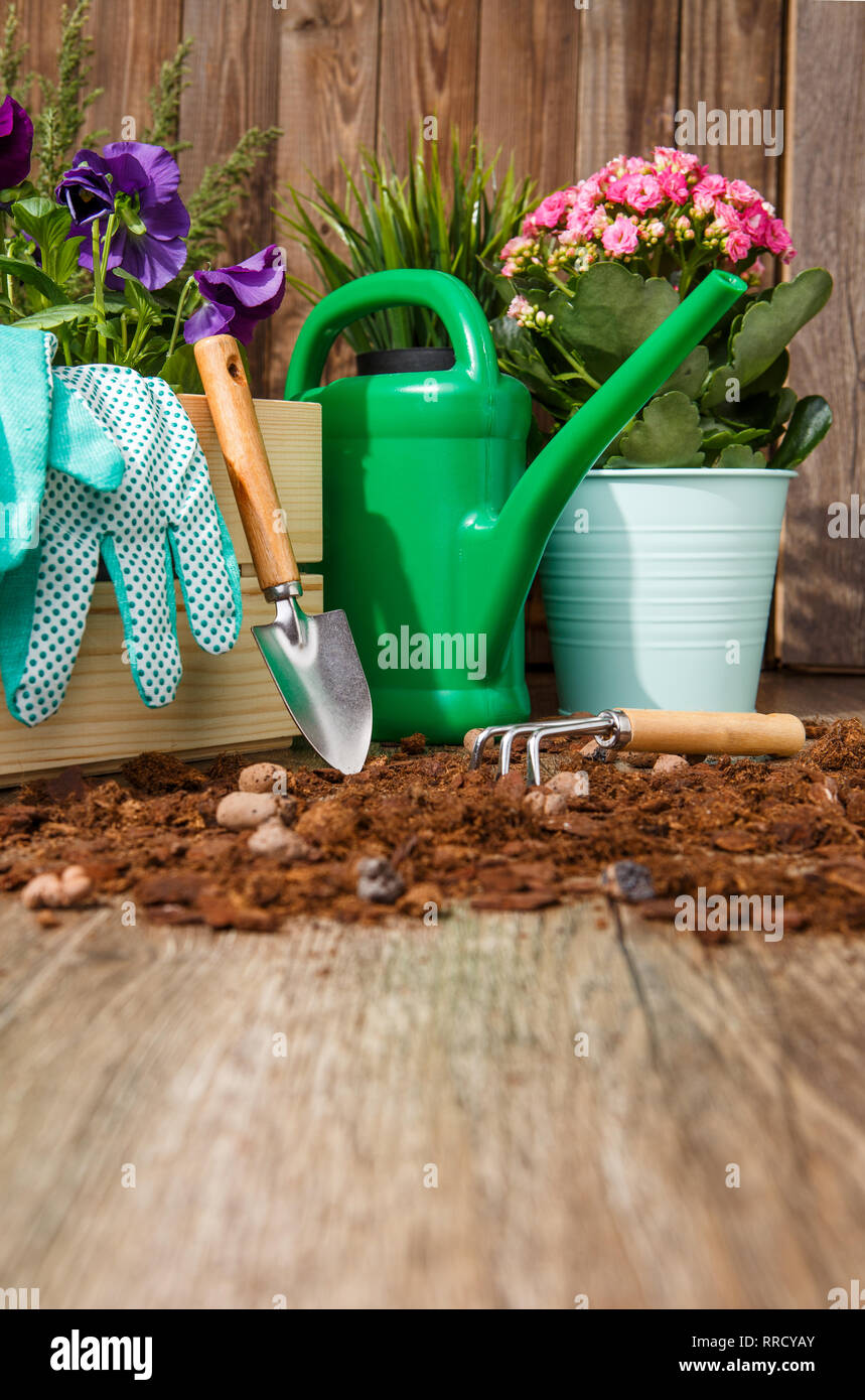 Gardening tools and flowers Stock Photo - Alamy