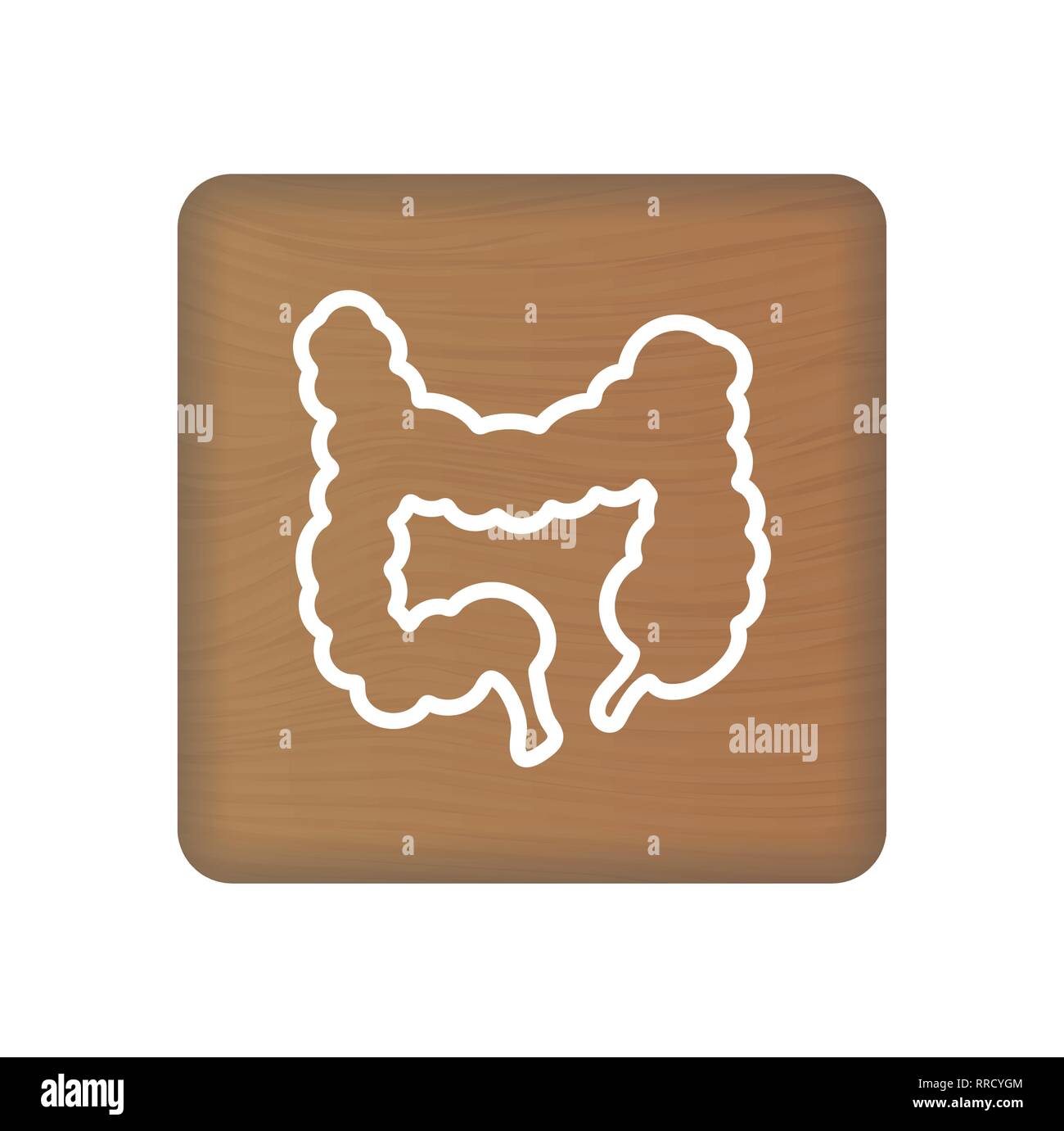 Human Intestine Icon. An Internal Organ Vector. Human Anatomy ...