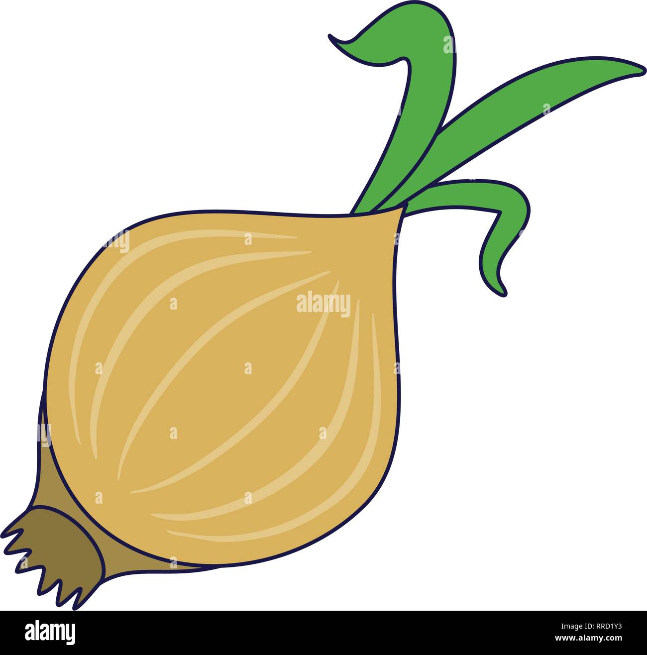 onion fresh vegetable cartoon Stock Vector Image & Art - Alamy