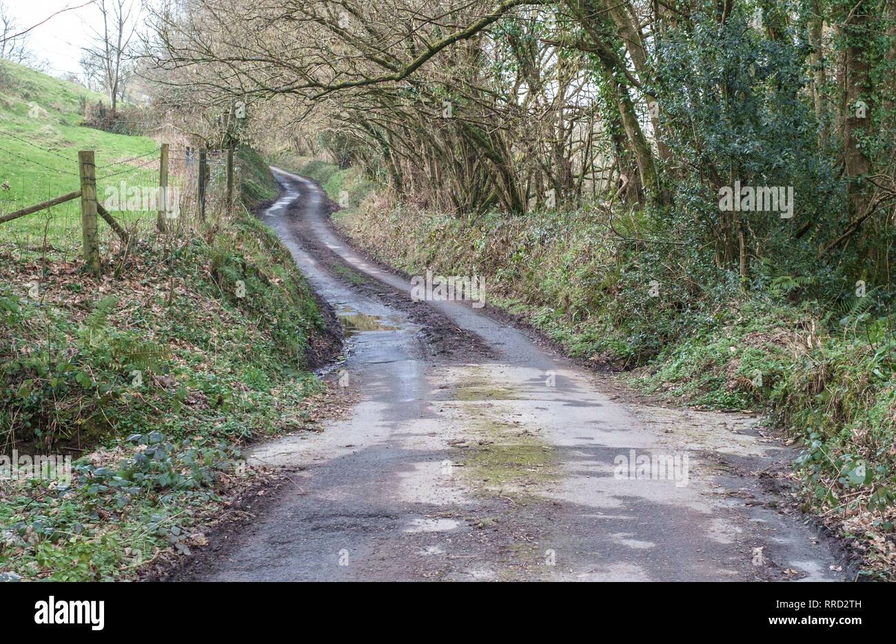 Milhams and Halsdon nature reserve. Around Dolton a village in the ...