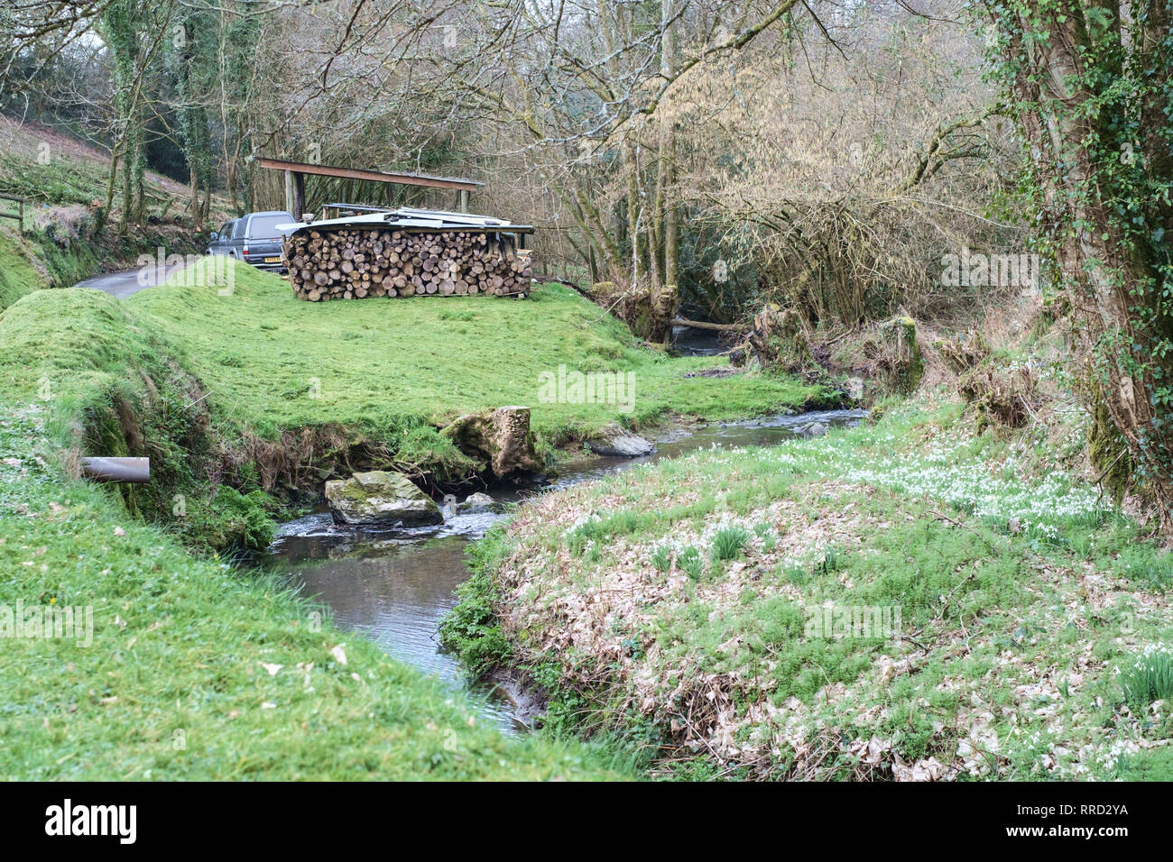 Halsdon nature reserve hi-res stock photography and images - Alamy