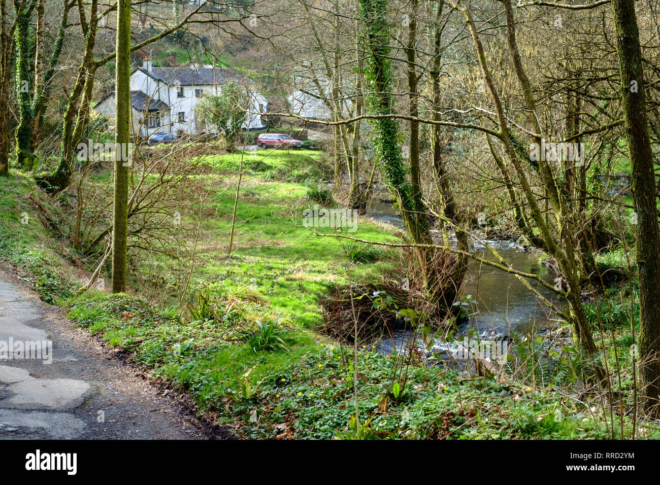 Halsdon nature reserve hi-res stock photography and images - Alamy