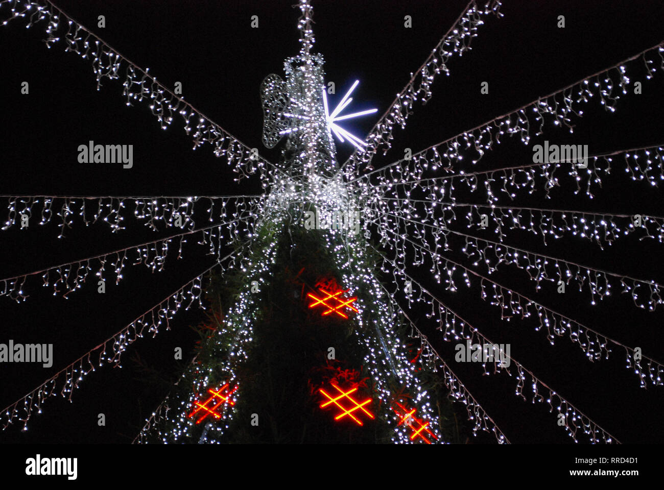 Street christmas tree hi-res stock photography and images - Alamy