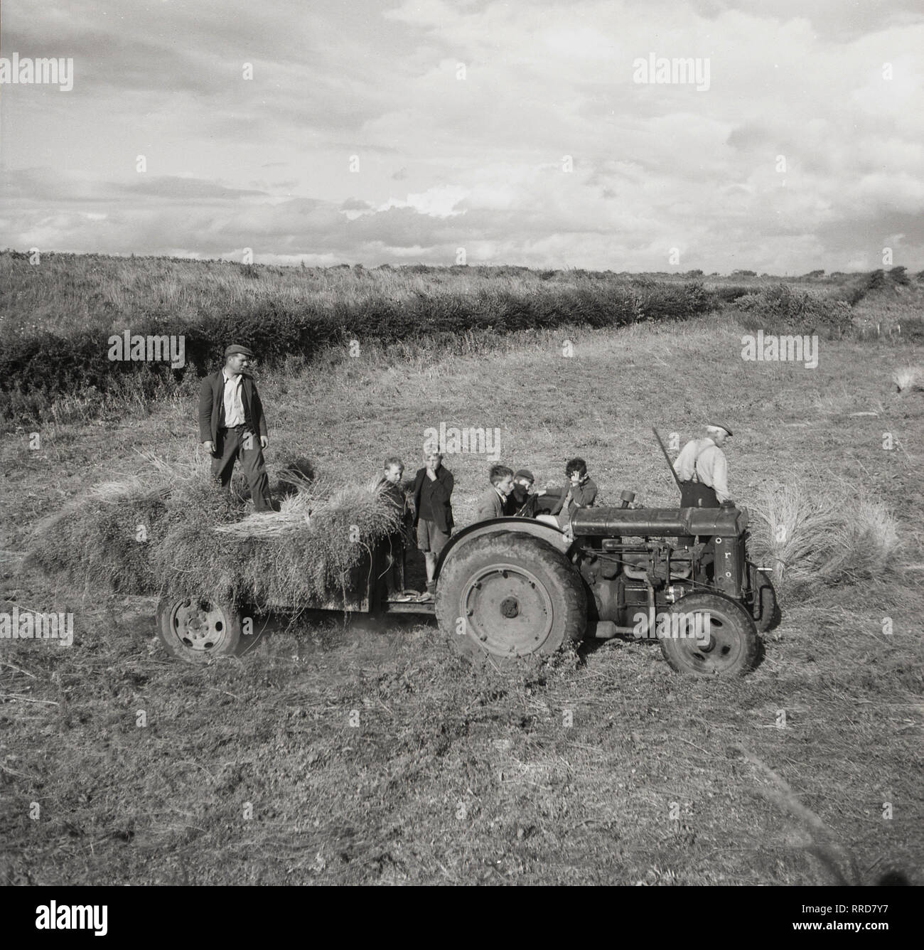 Farming 1950s uk hi-res stock photography and images - Alamy
