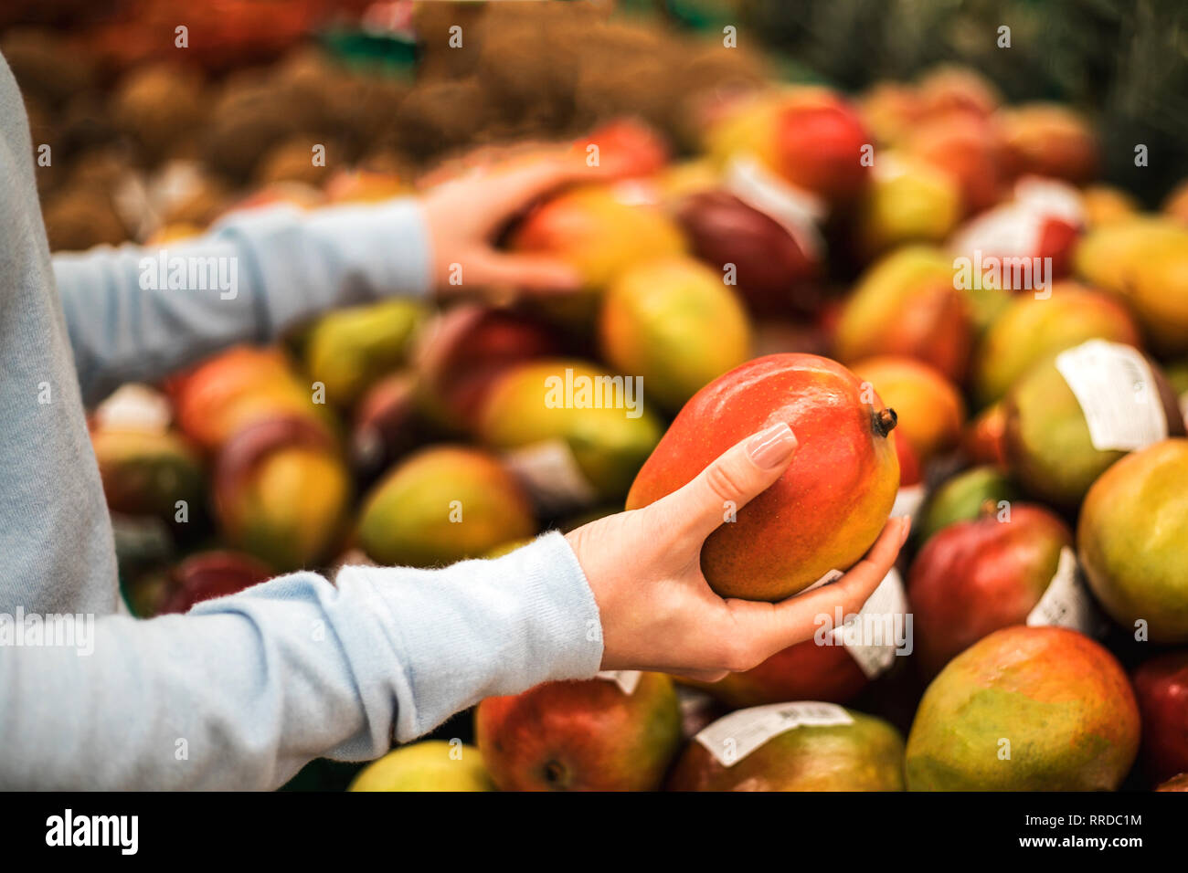 Picking Mango High Resolution Stock Photography and Images - Alamy