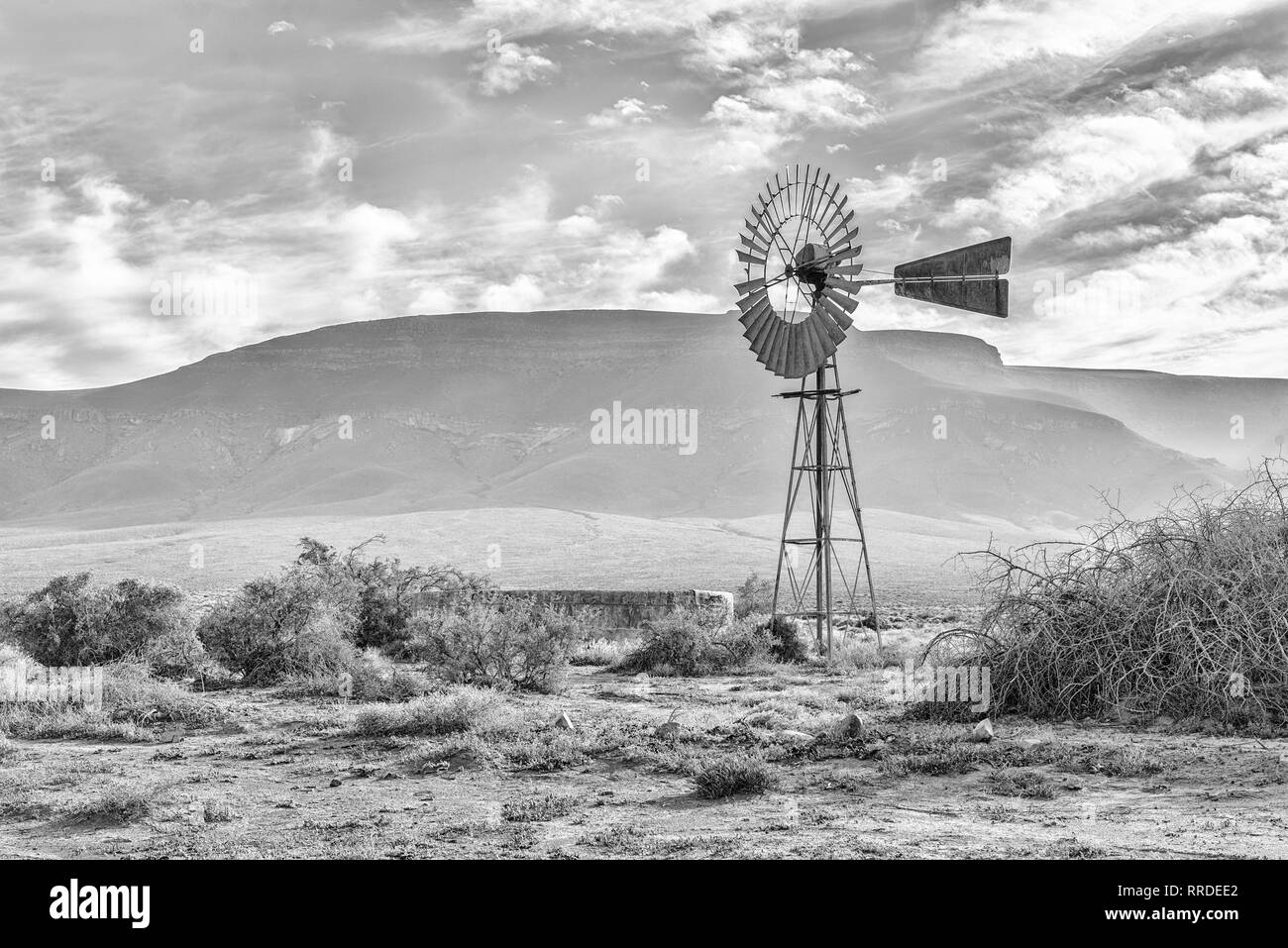 An early morning landscape, with a windmill and dam, in the Tankwa ...