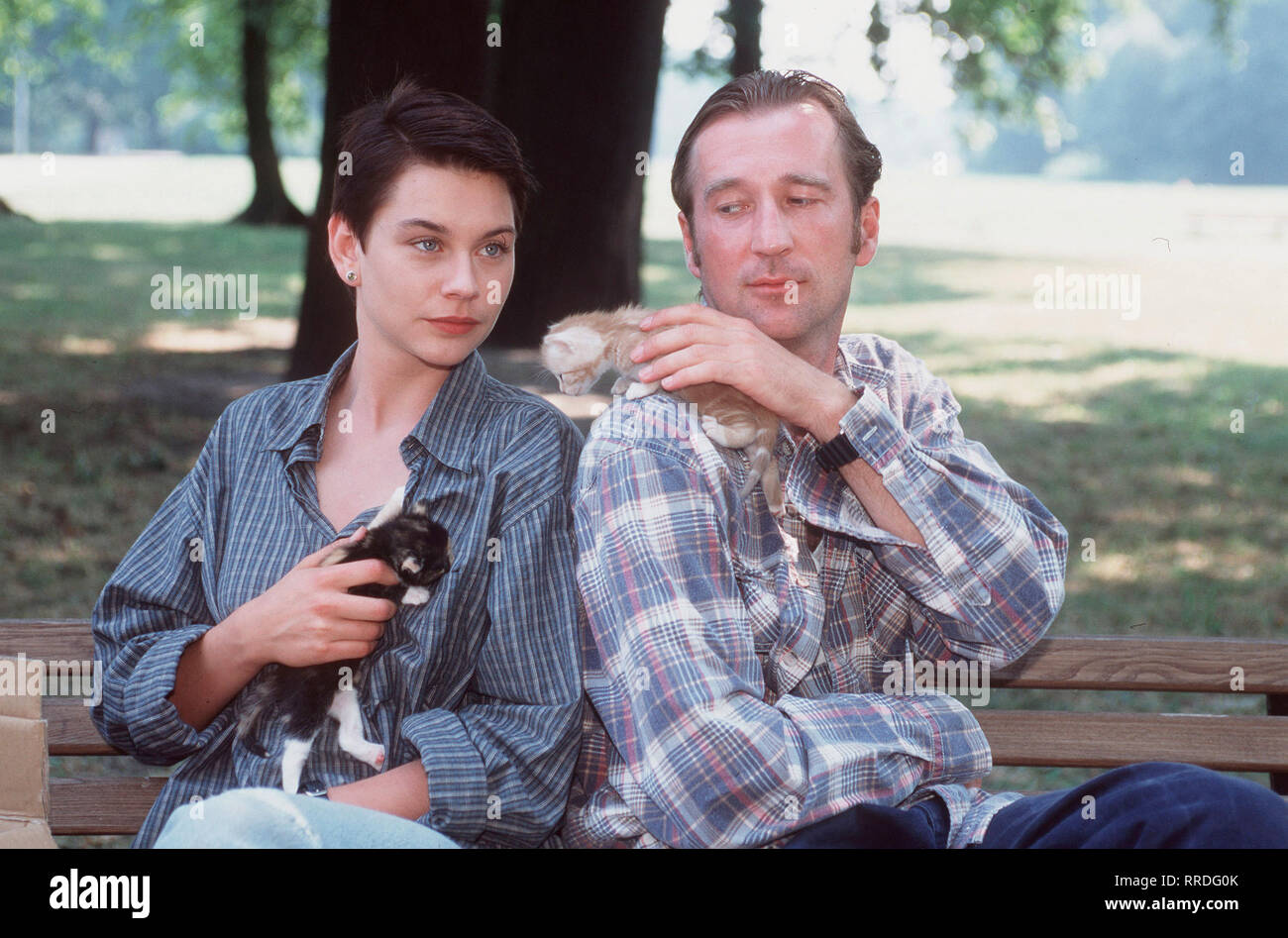 Katze liebt hi-res stock photography and images - Alamy