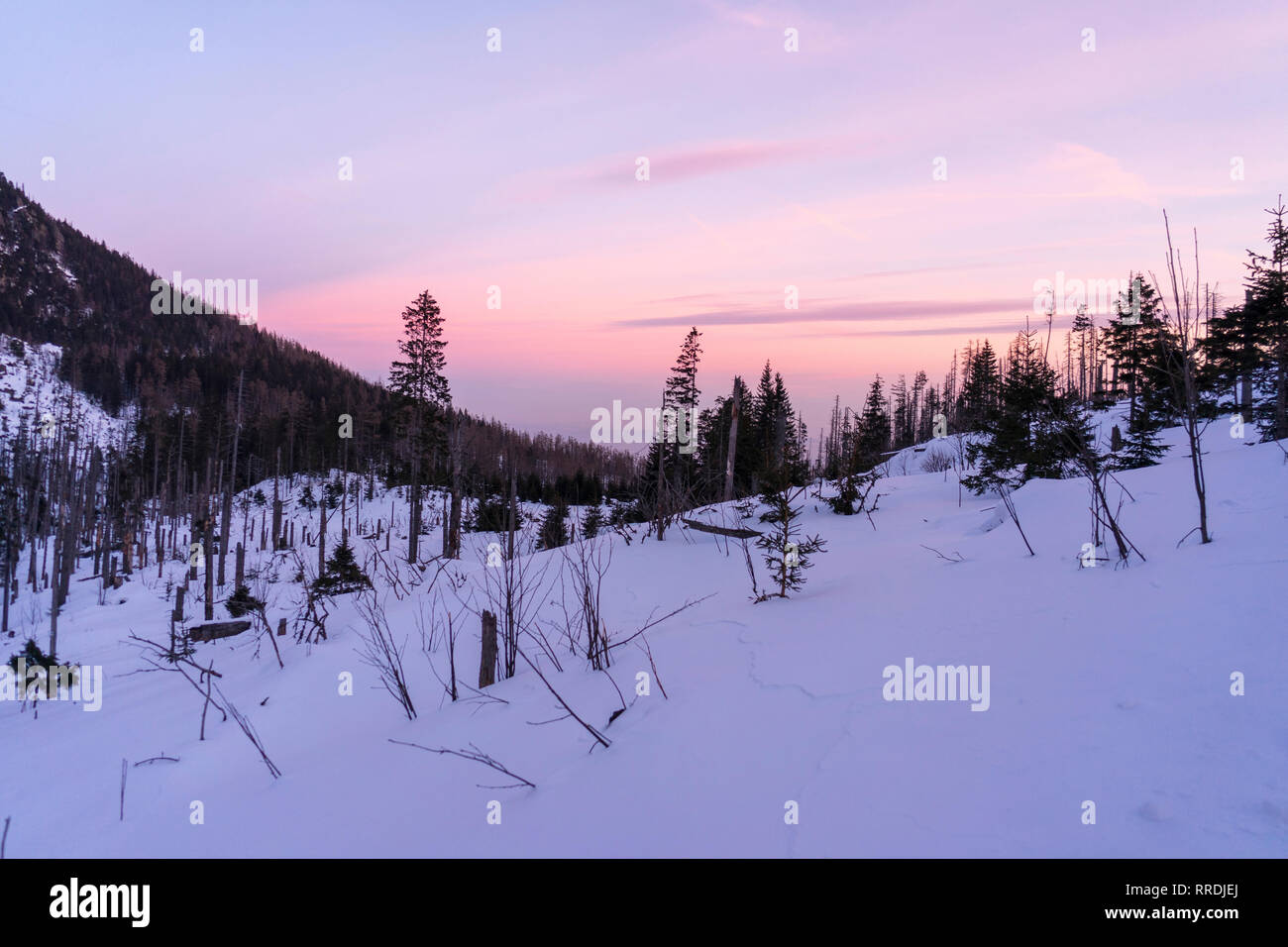 The beauty of nature in Slovakia. High Tatra Mountains Stock Photo - Alamy