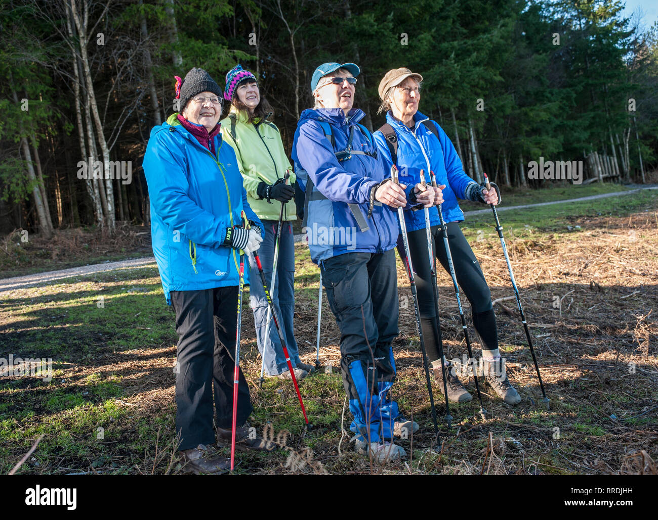 Woodland activities active people Stock Photo - Alamy