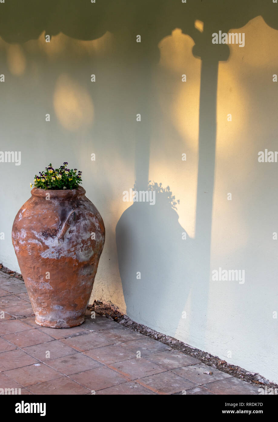 Flower pot and shadow at Burnby Hall Gardens Pocklington Stock Photo ...