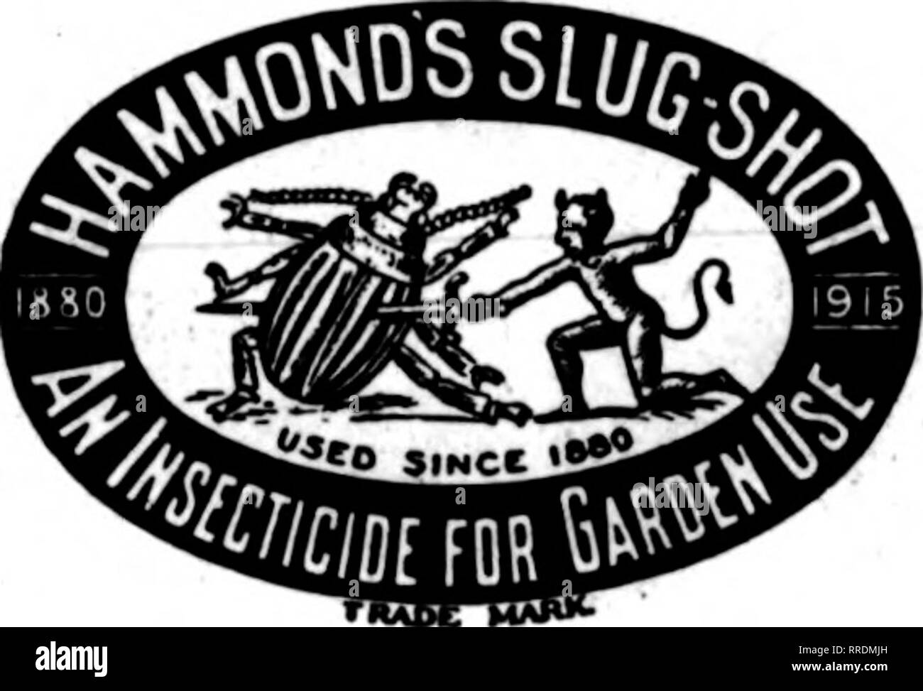 Bran bugs hi-res stock photography and images - Alamy