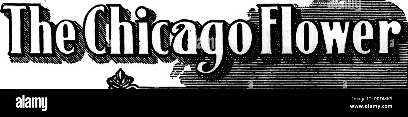 E reporting Black and White Stock Photos & Images - Alamy