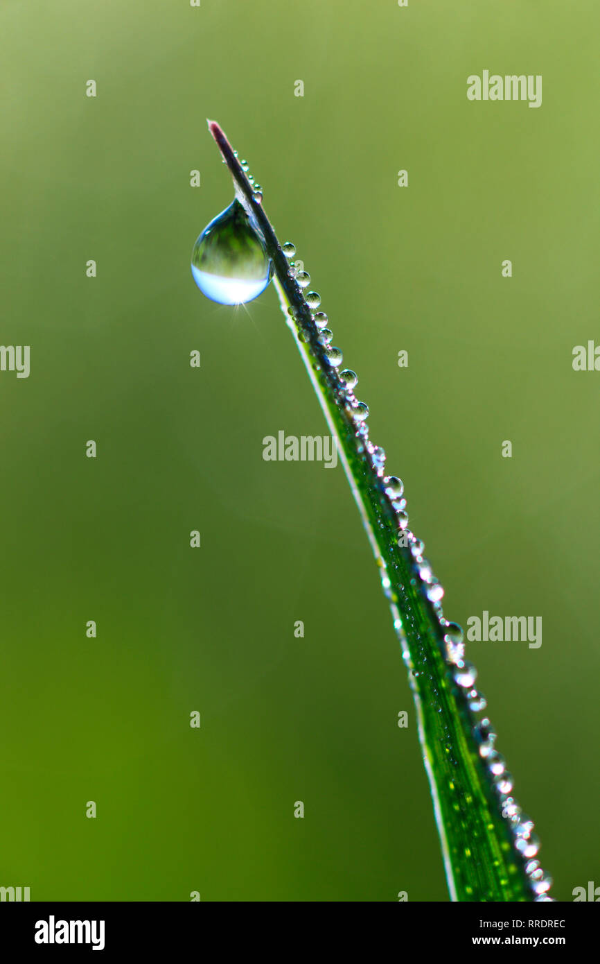 Exemplary individual hi-res stock photography and images - Alamy