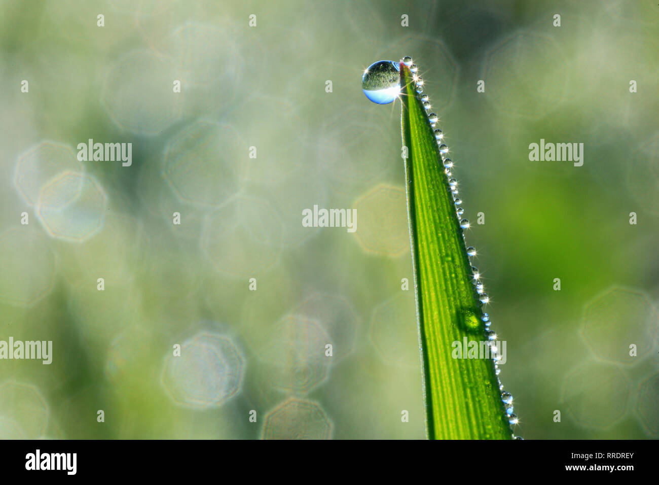 Exemplary individual hi-res stock photography and images - Alamy