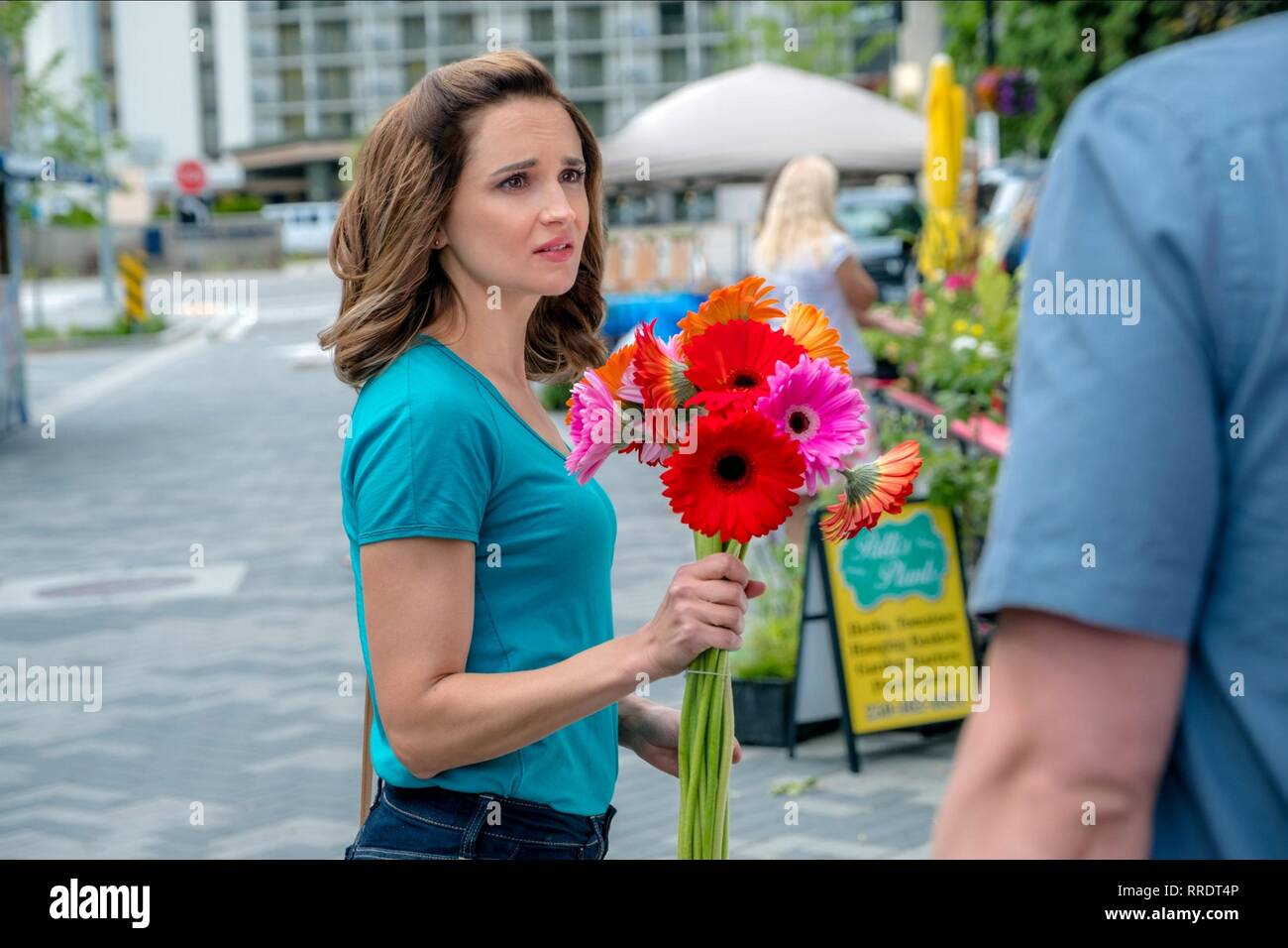 Leigh Cook High Resolution Stock Photography and Images - Alamy