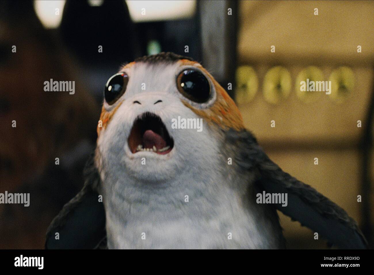 Porg Stock Photos & Porg Stock Images - Alamy