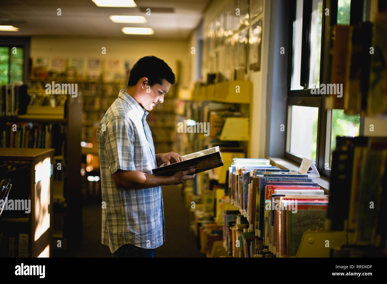 Teenage boy reading a book in a library Stock Photo - Alamy