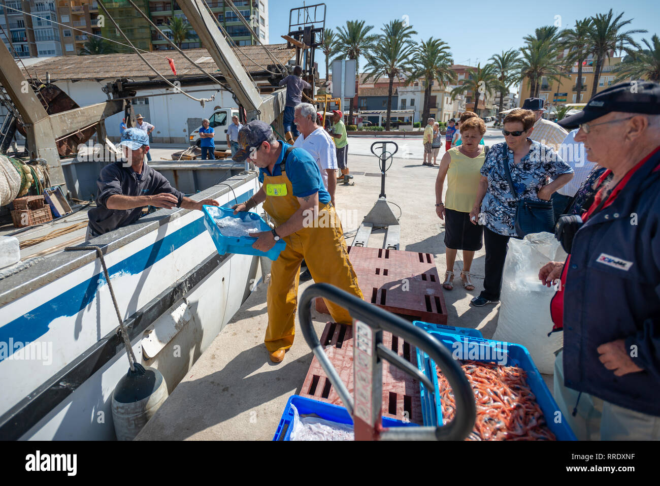 Unloading fish boxes hi-res stock photography and images - Alamy