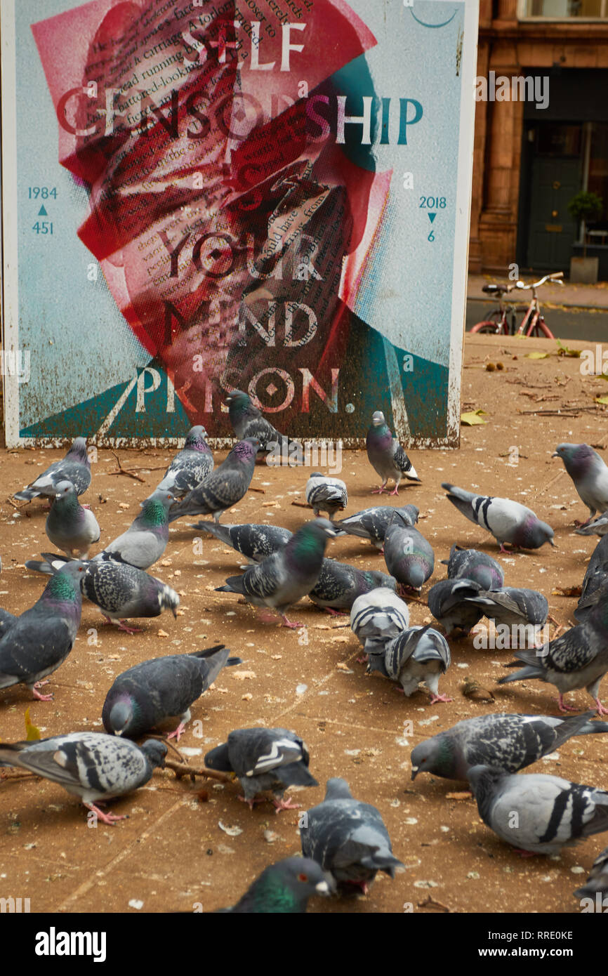 Winkie the pigeon hi-res stock photography and images - Alamy