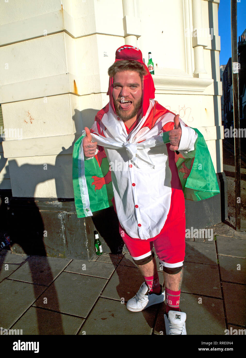 Welsh rugby fan hi-res stock photography and images - Alamy