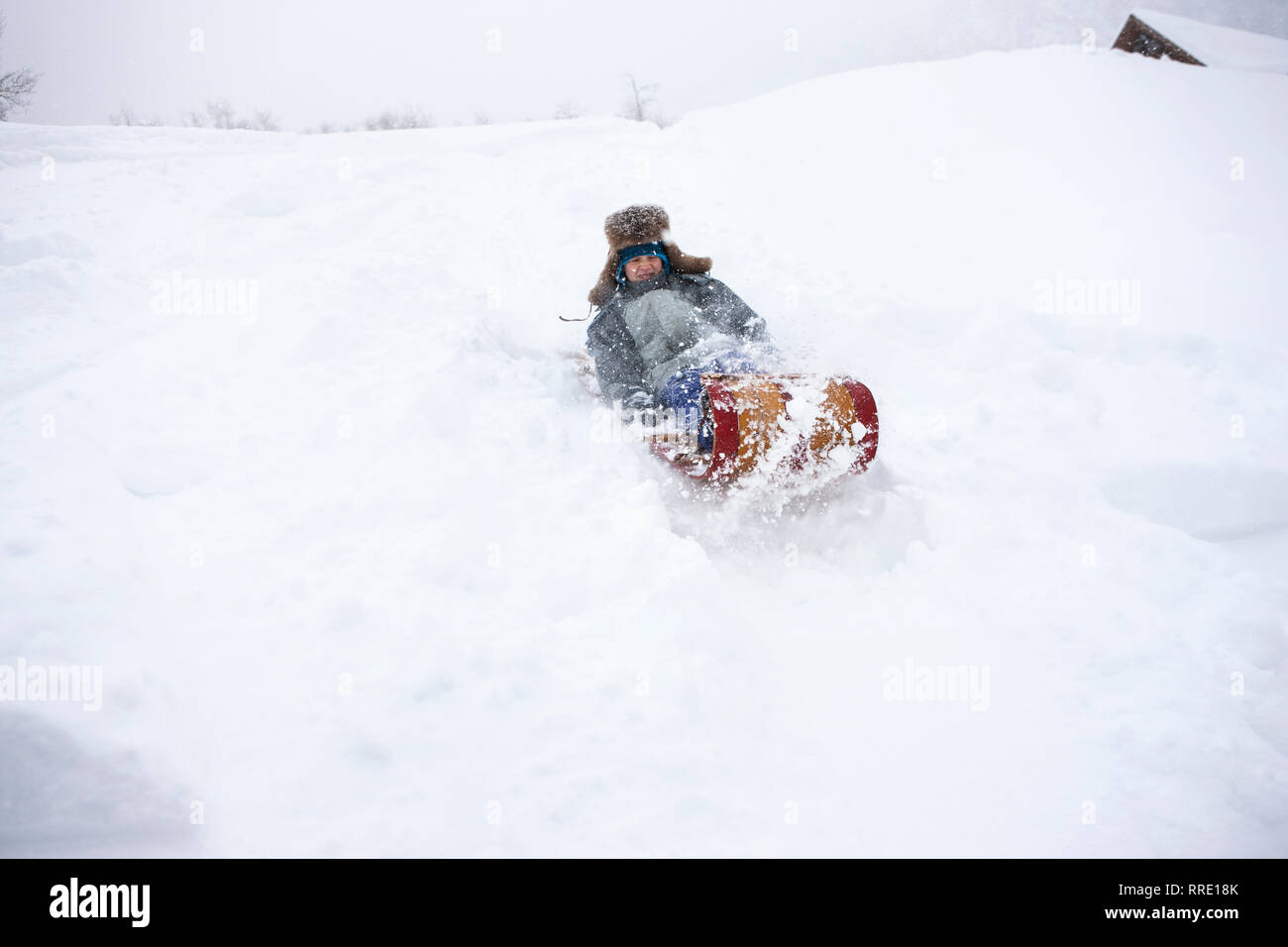 Boy having fun riding a sled in the snow Stock Photo - Alamy