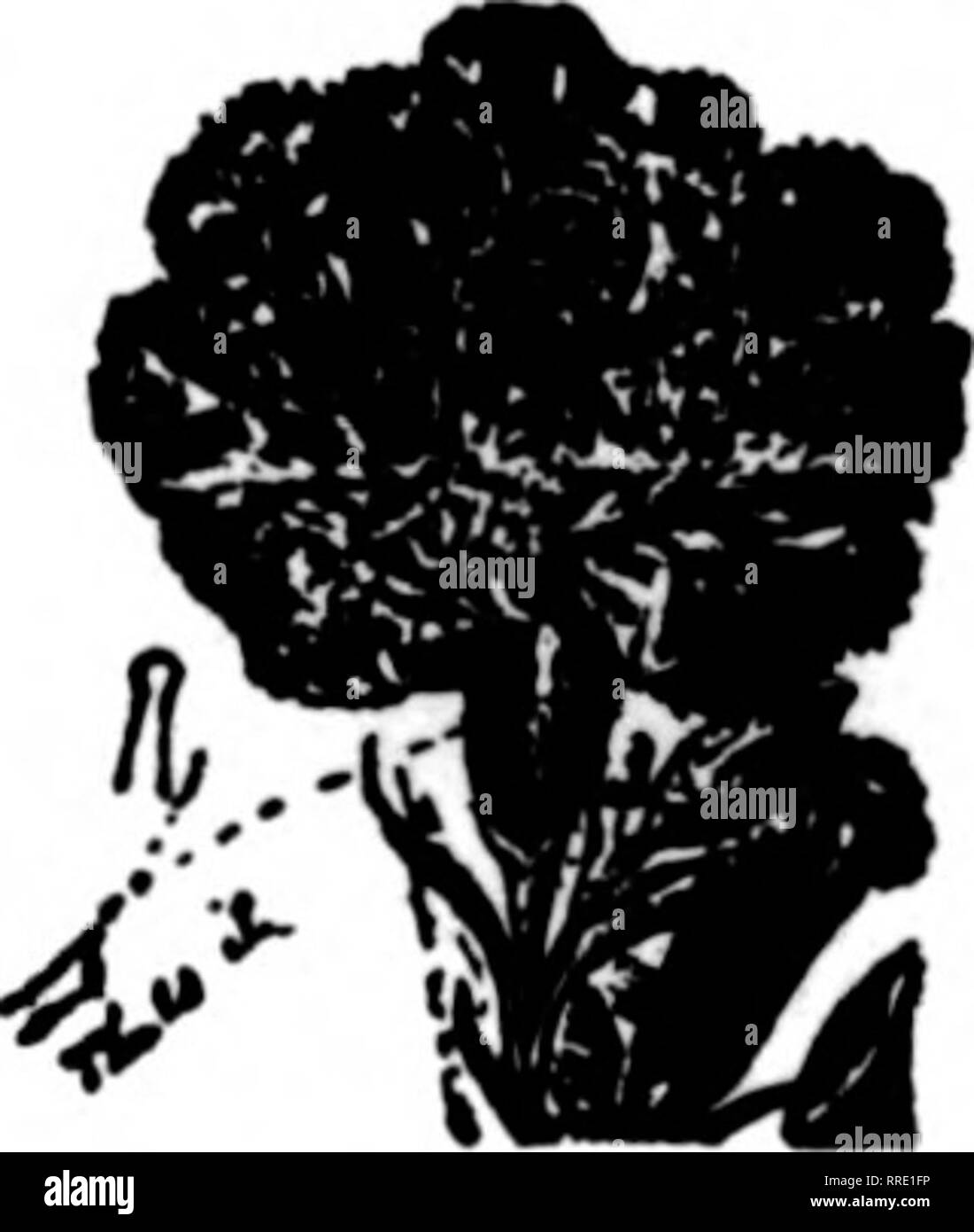 Joseph waite hi-res stock photography and images - Alamy