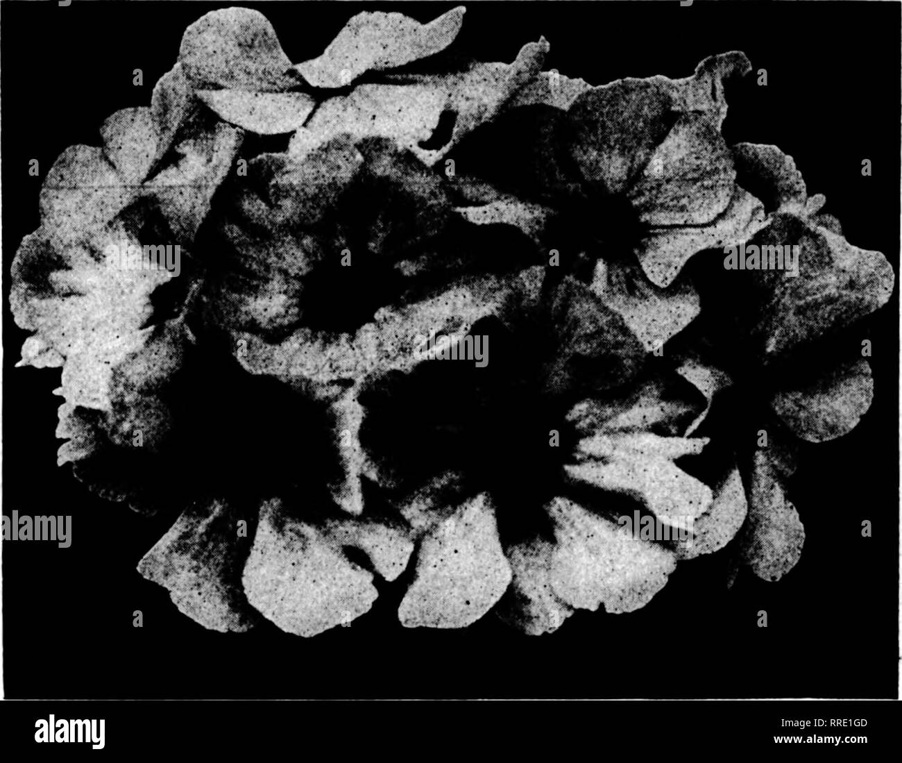 Rd 10 Black and White Stock Photos & Images - Alamy