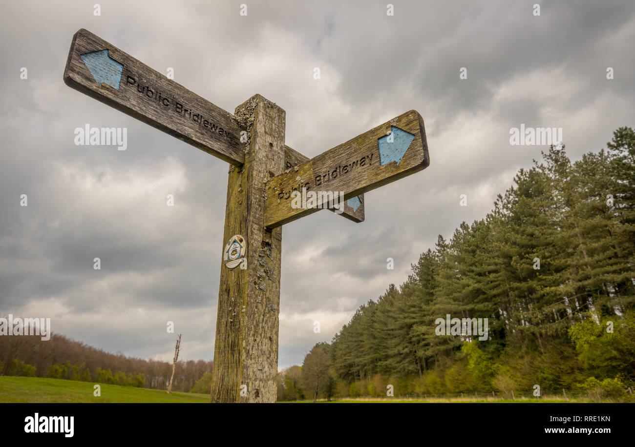 Wooden signpost in the bluebell woods, Patching, West Sussex, UK Stock ...