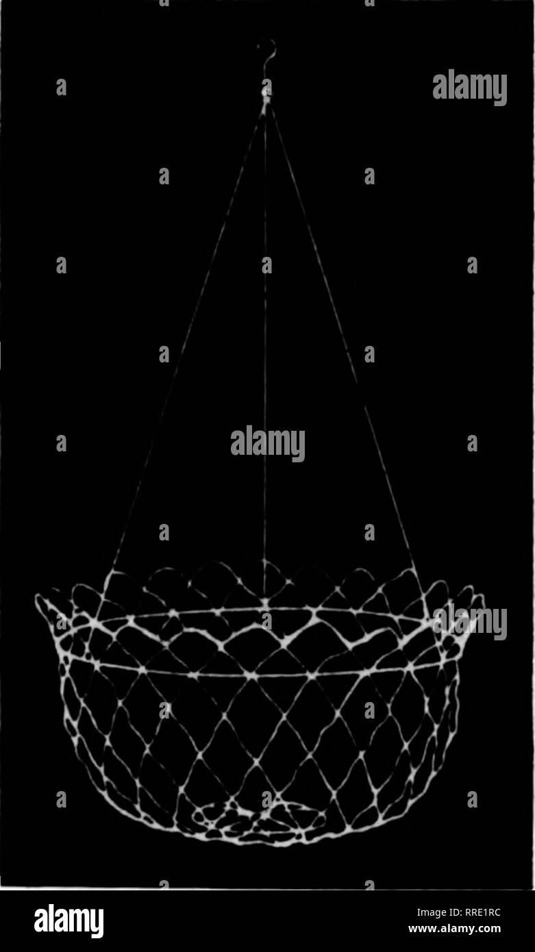 Our special list mr Black and White Stock Photos & Images - Alamy