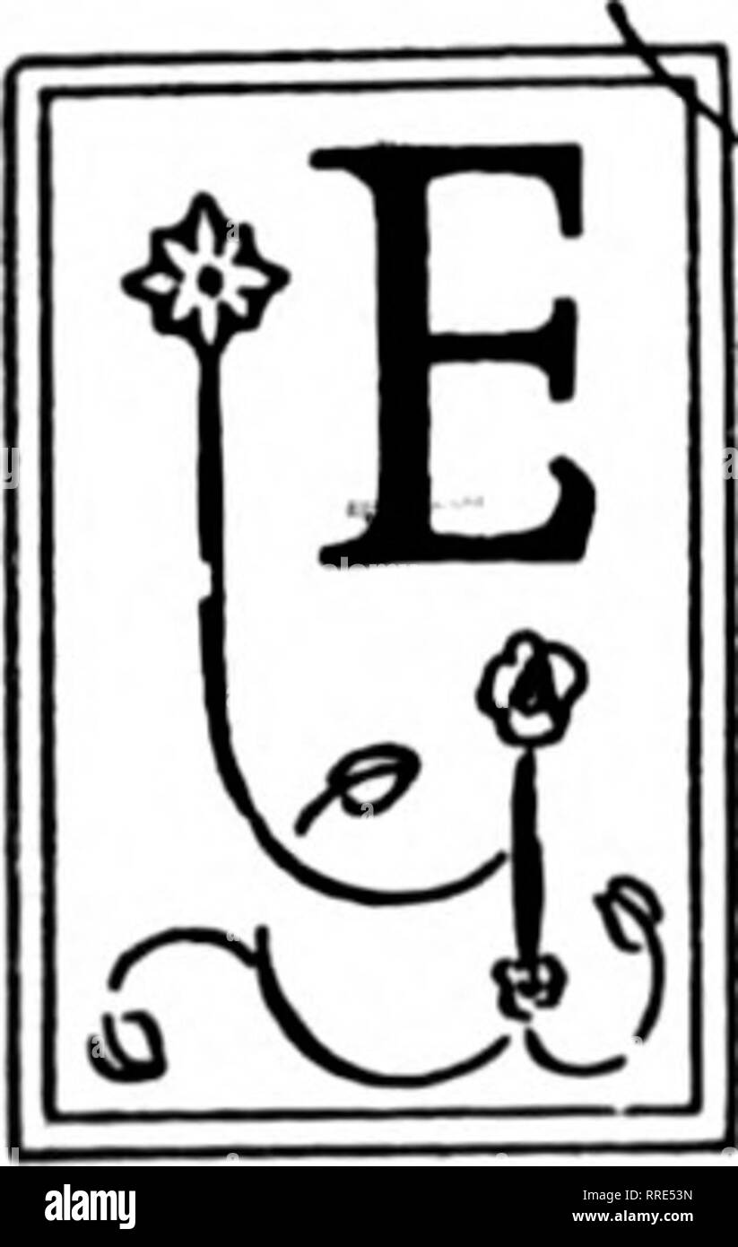 Ni s irl hi-res stock photography and images - Alamy