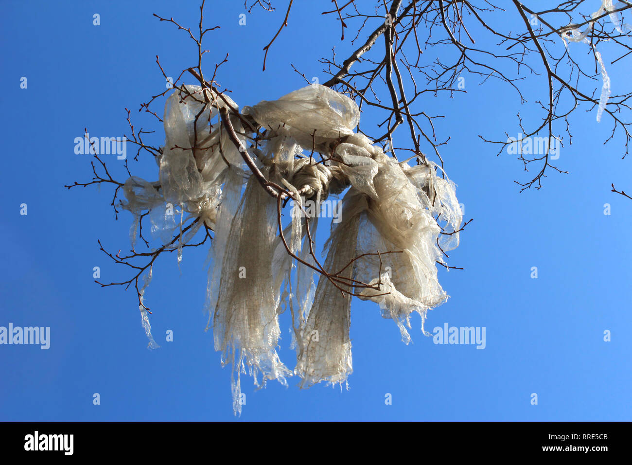 Plastic bag tree sky hi-res stock photography and images - Alamy