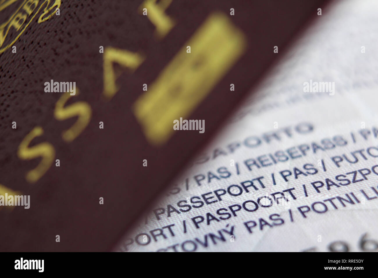 European Union EU biometric passport, detail Stock Photo - Alamy