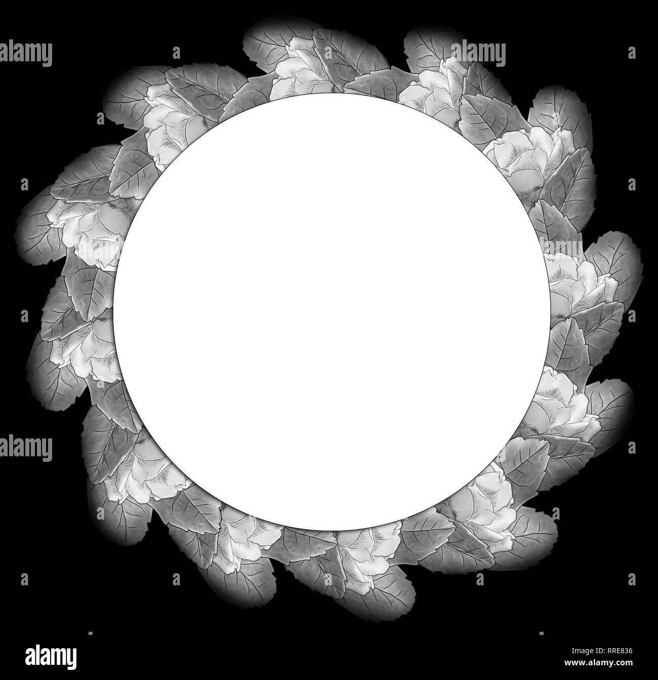 Monochrome roses behind round frame black background by jziprian Stock ...