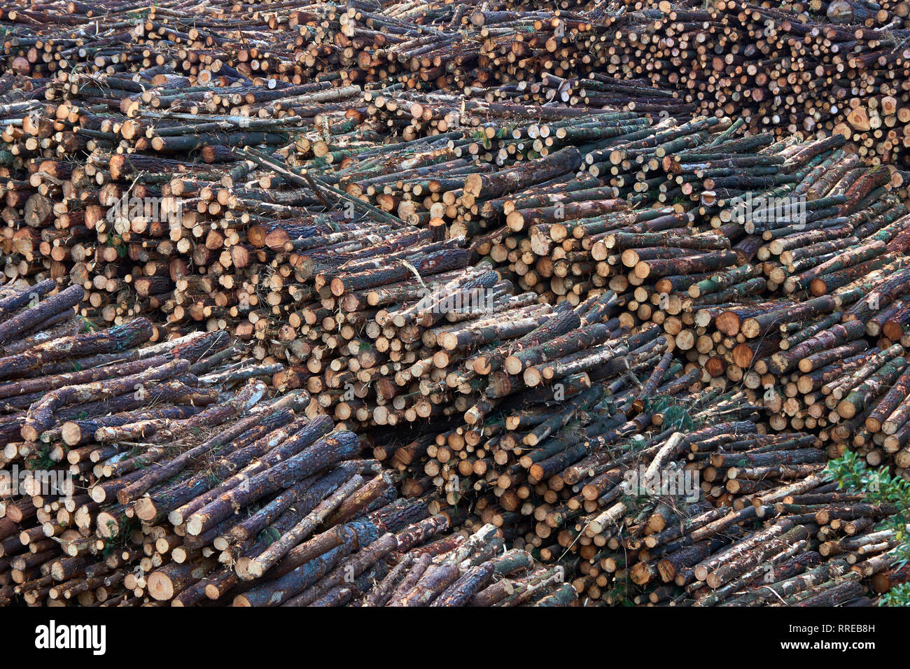 Logs frame hi-res stock photography and images - Alamy